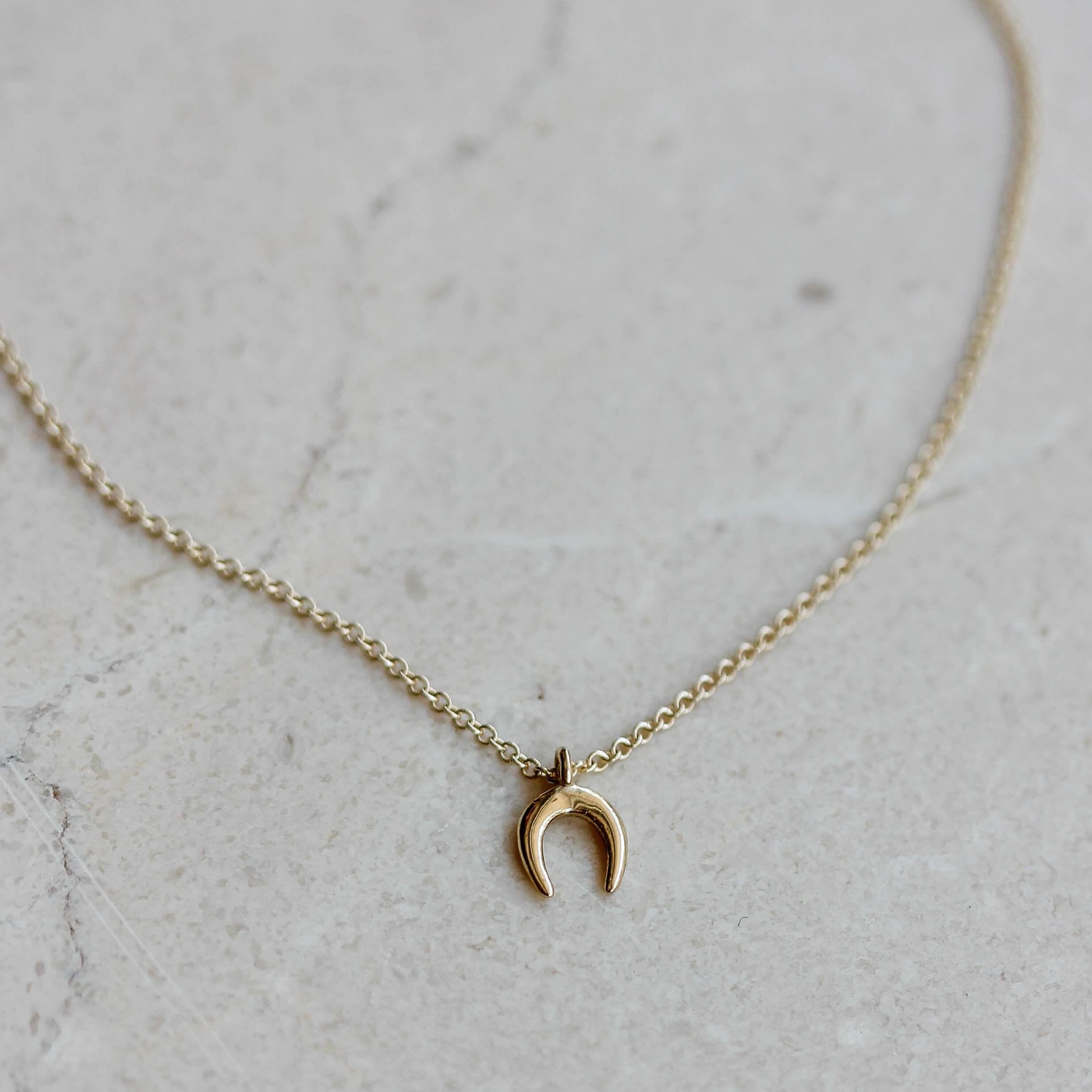 שרשרת פרסה טייני זהב 14K – She-Ra Jewelry